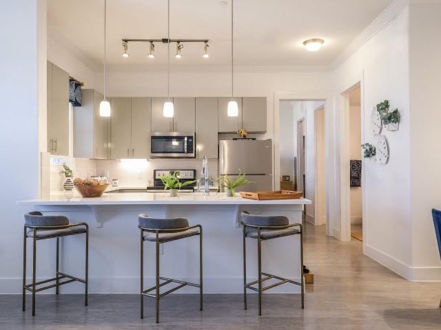 Reveal on the Lake 3 Bedroom Apartment for Rent at 1600 President George Bush Hwy, Rowlett, TX 75088