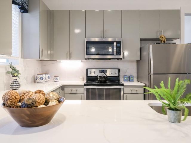 Reveal on the Lake 2 Bedroom Apartment for Rent at 1600 President George Bush Hwy, Rowlett, TX 75088