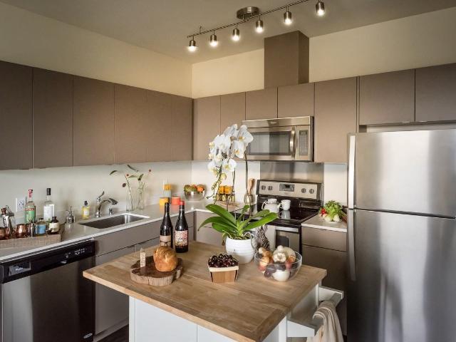 Reverb Studio Apartment for Rent at 1023 E Alder St, Seattle, WA 98122 First Hill