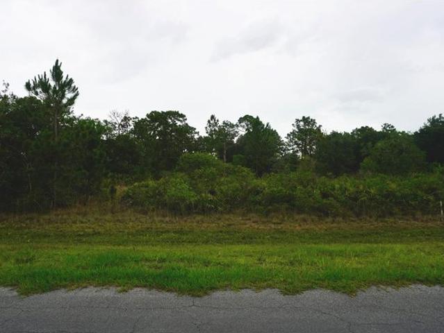 Reynolds Pkwy, Orlando, FL 32833