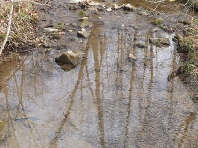 Rhoton Cave Rd, Tompkinsville, KY 42167