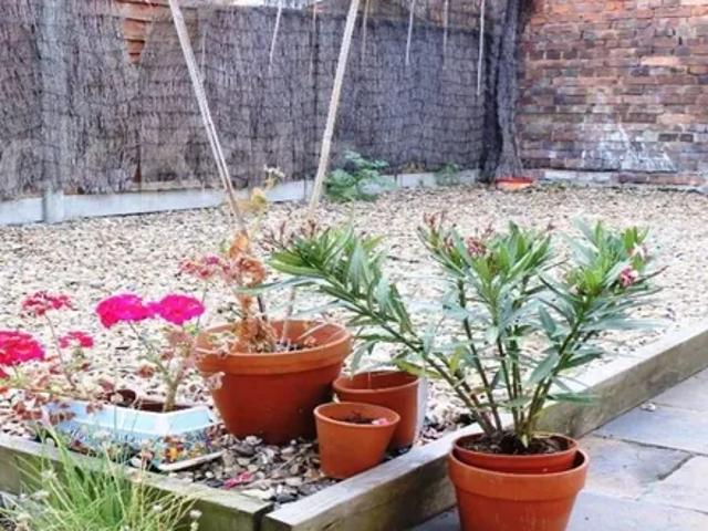 Rhōda, 25 Park Road, London, N8 8TE, United Kingdom | 1 bed apartment for rent #166280837 | Rentberry