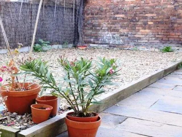 Rhōda, 25 Park Road, London, N8 8TE, United Kingdom | 1 bed apartment for rent #167774502 | Rentberry