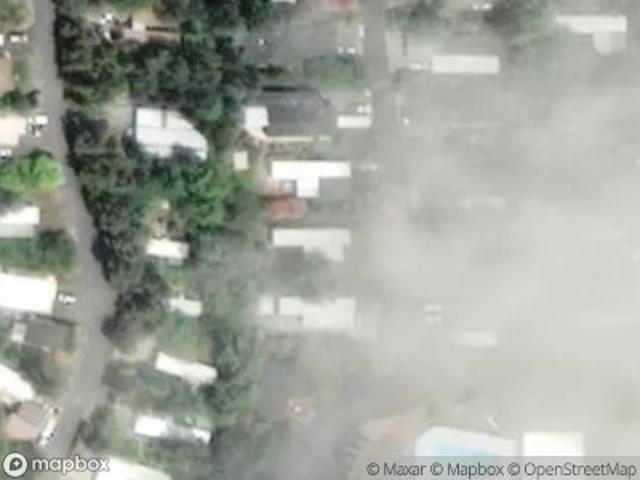 Rhododendron Dr Spc 288