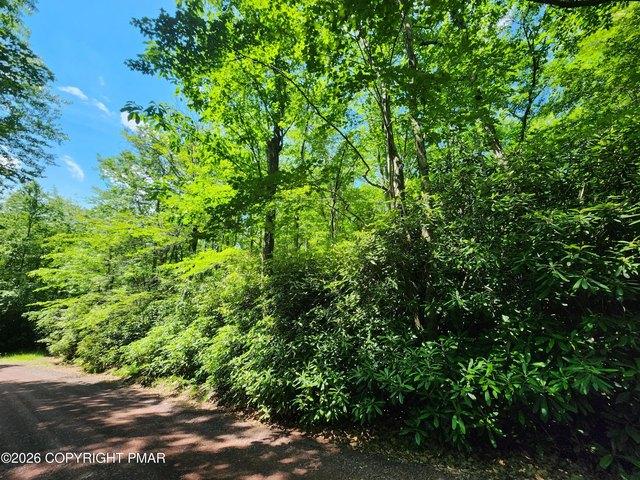 Rhododendron Rd Lot A48, Jim Thorpe, PA 18229