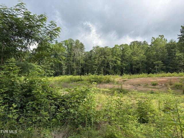 Rhea Ln, Mountain City, TN 37683