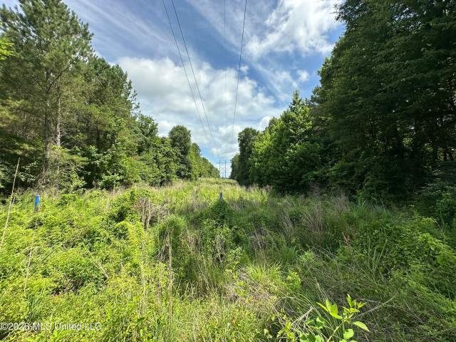 Rhymes Road, Crystal Springs, MS 39059