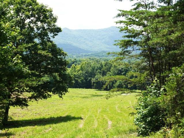 Rhyne Camp Rd, Newport, TN 37821