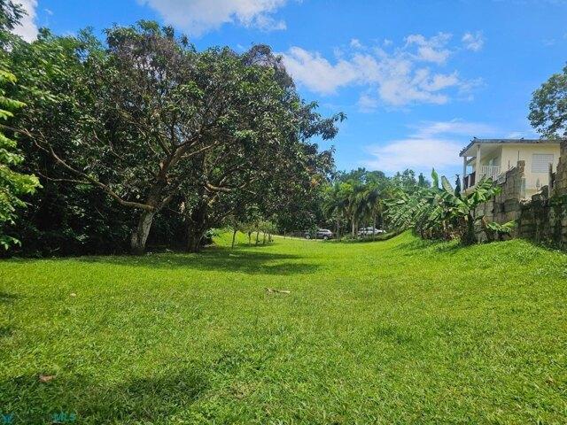 Rincon GA 00677 105114417