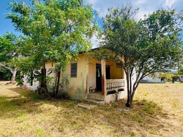 Rincon GA 00677 LS101999087