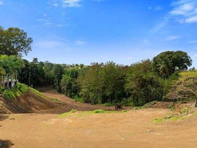 Rincon GA 00677 LS102089119