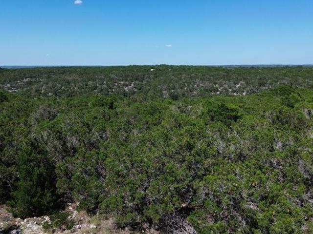 Ringtail Rd, Camp Wood, TX 78833