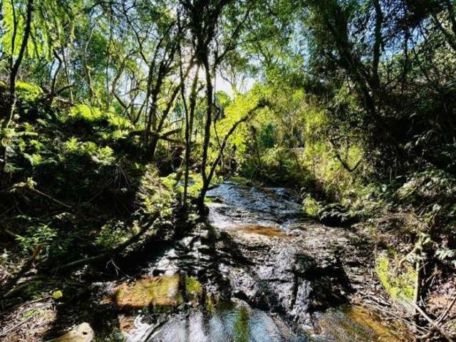 Rio Com Cascata e Cachoeira, 3 Ha de Área e Vista