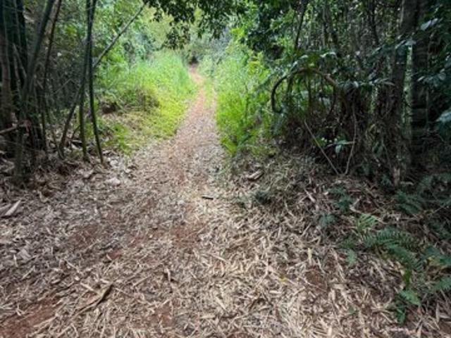 Rio Canas Arriba Mayaguez, Mayaguez, Plot For Sale