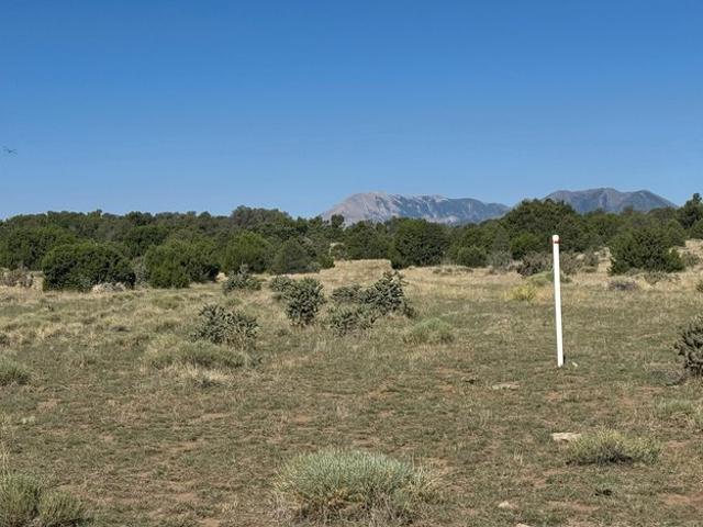 Rio Cucharas #1 Unit 18, Walsenburg, CO 81089