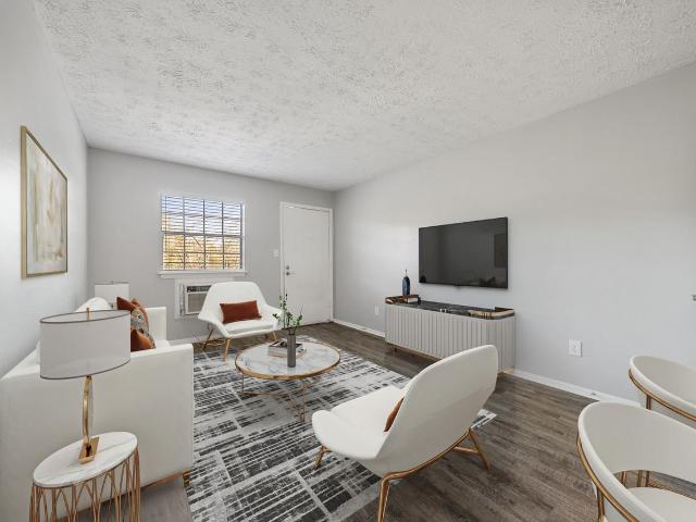Rio at Lenox 1 Bedroom Apartment for Rent at 2716 Buford Highway Northeast, North Atlanta, GA 30324 Pine Hills