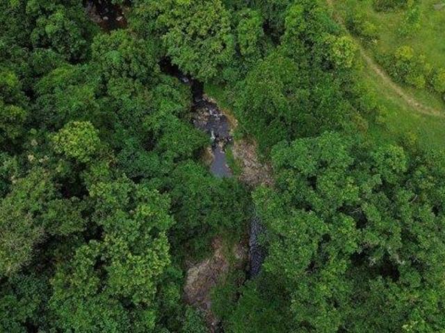 Rio Grande NJ 00745 LS92839898