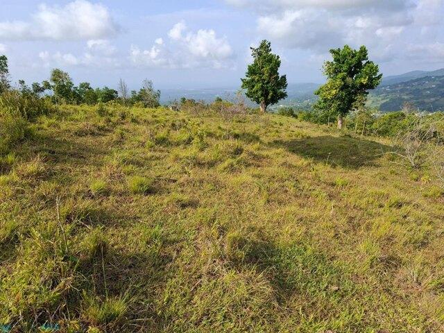 Rio Grande, Plot For Sale