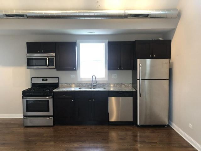 Rio Properties 1742 1 Bedroom Apartment for Rent at 1742 W 18th Pl, Chicago, IL 60608 Lower West Side
