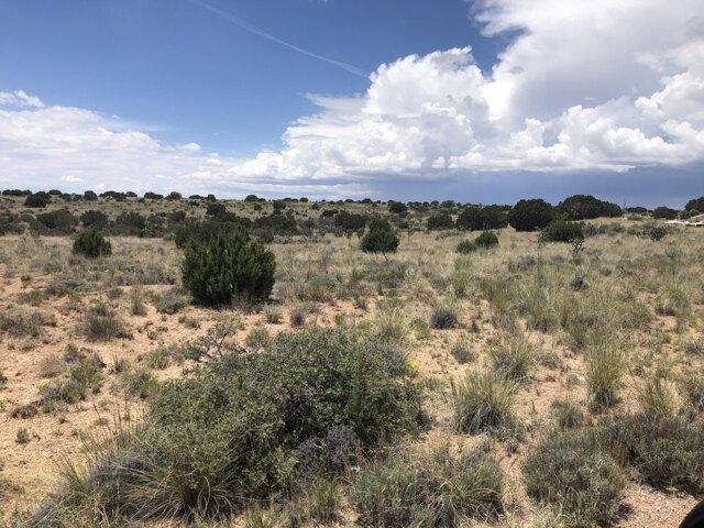 Rio Rancho NM 87144 LS95802169