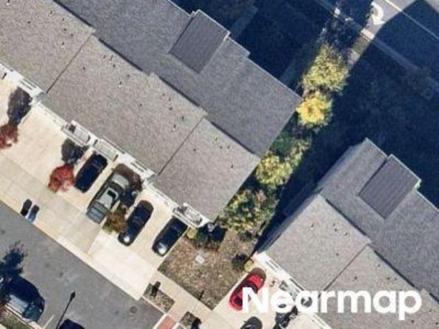 Ribbon Limestone Ter SE C206