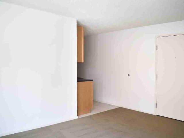 Ricardo 1 Bedroom Apartment for Rent at 811 E Armour Blvd, Kansas City, MO 64109 Central Hyde Park