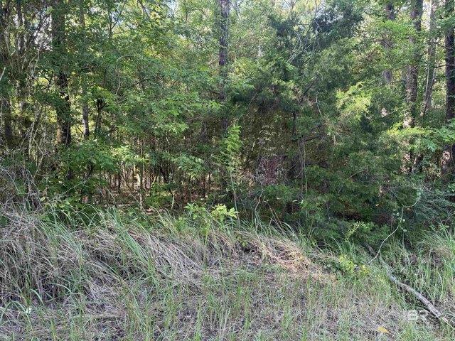 Rice Creek Rd, Stockton, AL 36579