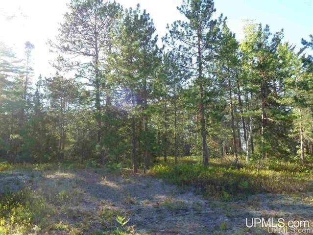 Rice Lake Rd, Lake Linden, Plot For Sale