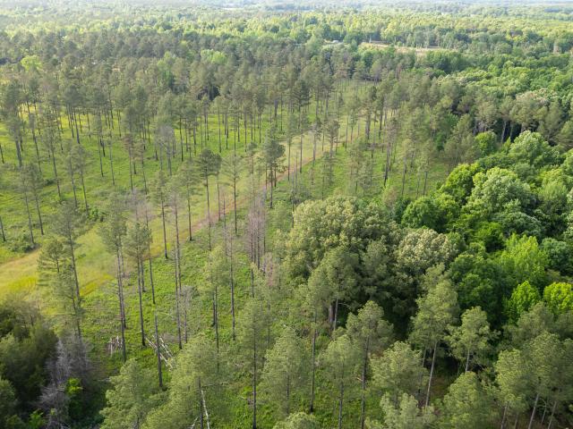 Rice Road, Crawford, MS 39743