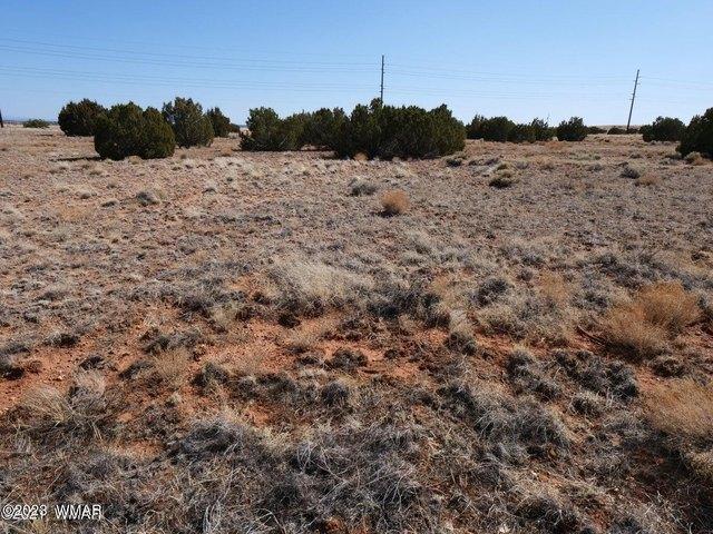 Richard Dr, Snowflake, AZ 85937