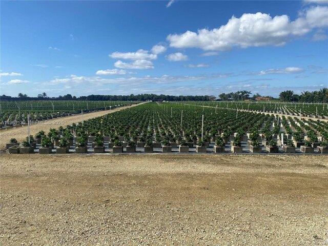 Richard Rd, Homestead, Plot For Sale