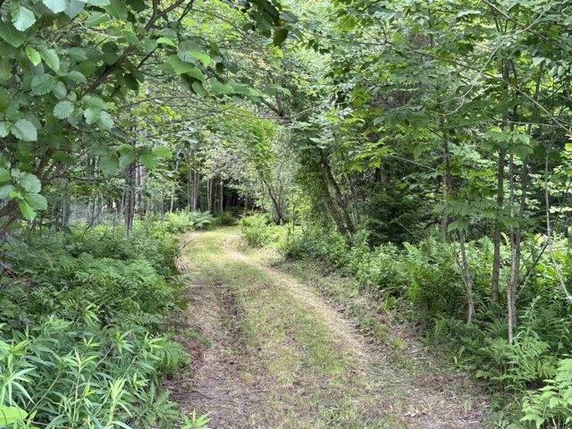 Richard Woolcutt Rd, Wolcott, Plot For Sale