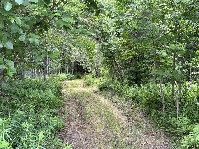 Richard Woolcutt Rd, Wolcott, VT 05680
