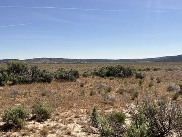 Richardson Rd, Dorris, CA 96023