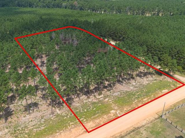Richardson Rd E, Livingston, TX 77351