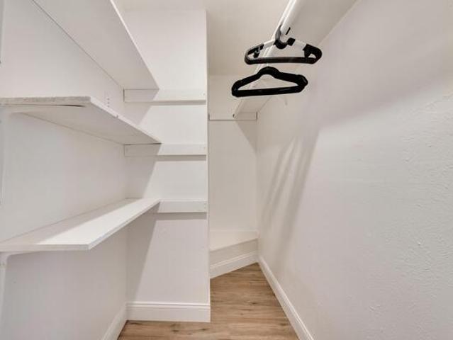 Richardson 75080 – Near University of Texas at Dallas – Beautiful Home with Large Private Rooms, All Utilities Included, Convenient to Highway 75 EV Friendly