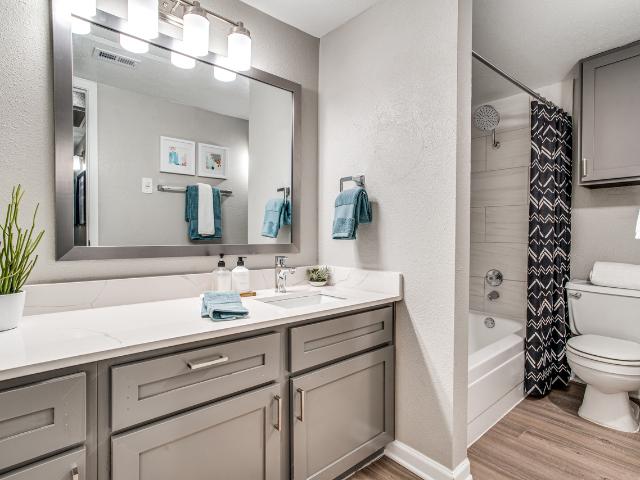 Richmond Apartments 1 Bedroom Apartment for Rent at 19251 Preston Rd, Dallas, TX 75252