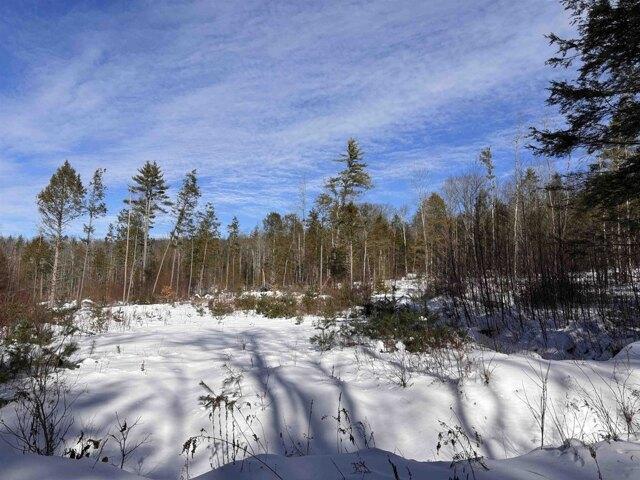 Richmond NH 03470 102595095