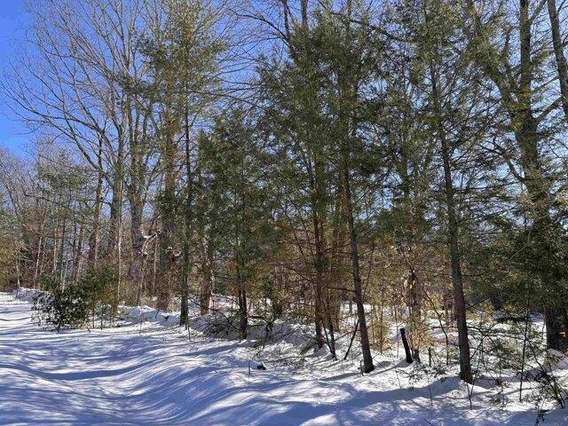Richmond NH 03470 LS103070175