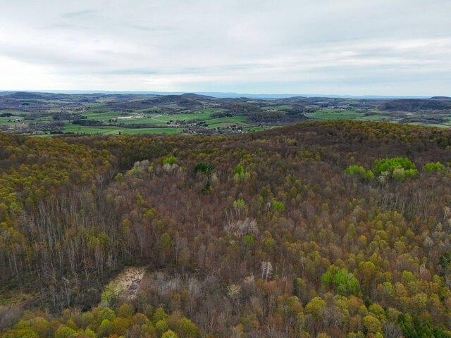 Richmondville NY 12149 103621966
