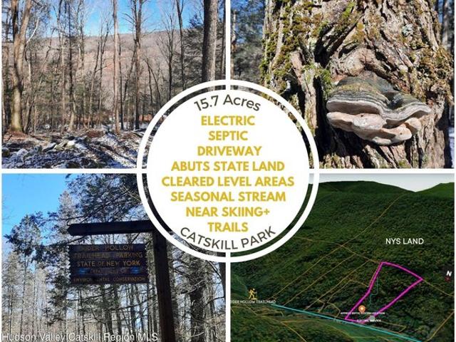 Rider Hollow Rd, Hardenburgh, NY 12406
