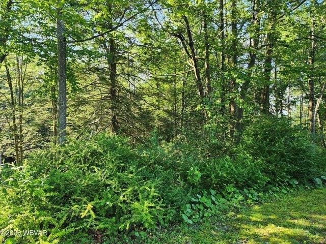 Rider Ln Lot 4, Eagles Mere, PA 17731