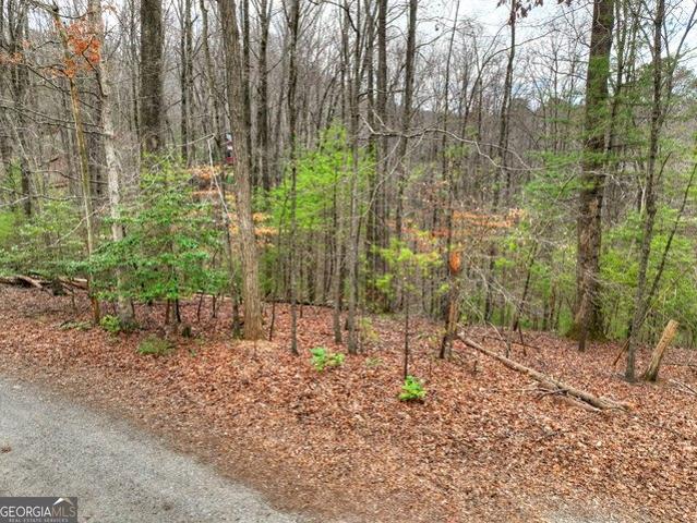 Ridge View Ct, Ellijay, GA 30536