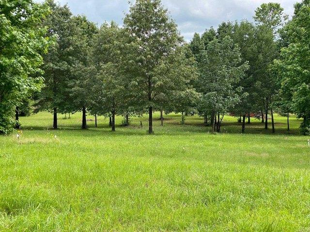 Ridge Cir, Quitman, AR 72131
