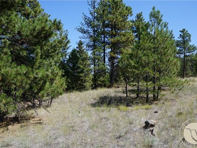 Ridge Crest Lane, MT 59421