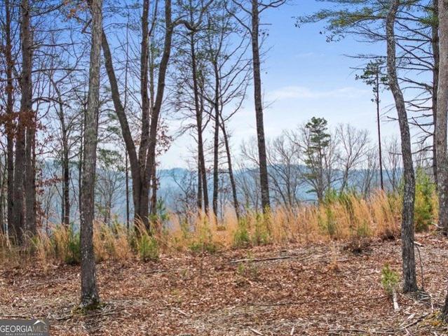 Ridge Dr Lot 162, Morganton, GA 30560
