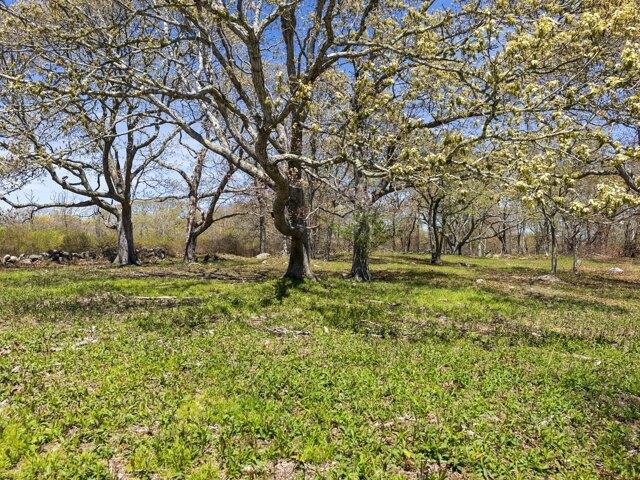 Ridge Rd, Aquinnah, Plot For Sale