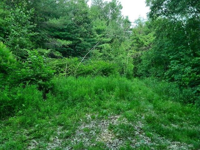 Ridge Rd, Jefferson, Plot For Sale