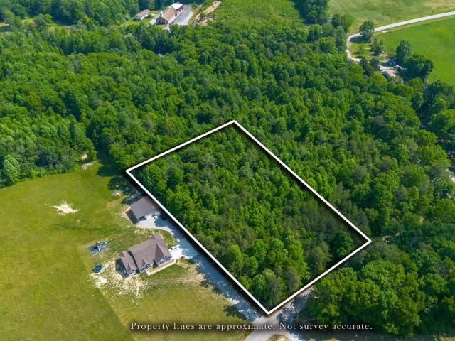 Ridge Rd, Lancing, TN 37770