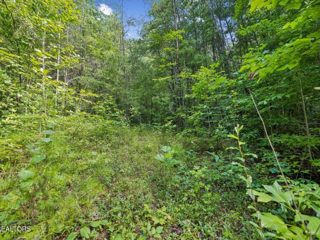 Ridge Rd, Lancing, TN 37770